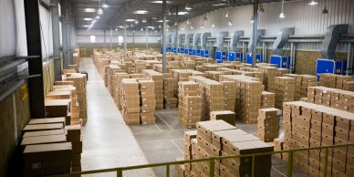 How to Ship Items from PSA Vault Back to You: Step-by-Step Guide