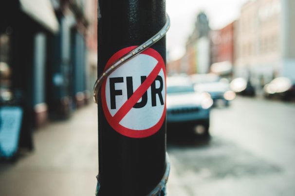 Scrolller: Changing the Way We Discover Visual Media